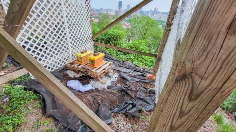 Running List of Bee Keeping Issues We've Experienced by Year